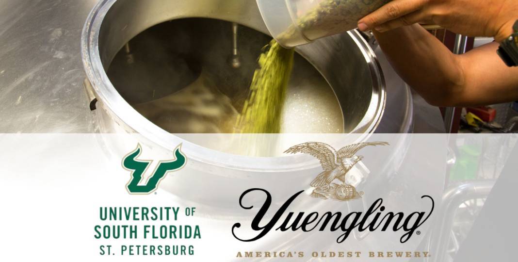 Yuengling and USF Continue Partnership Through Brewing Scholarships