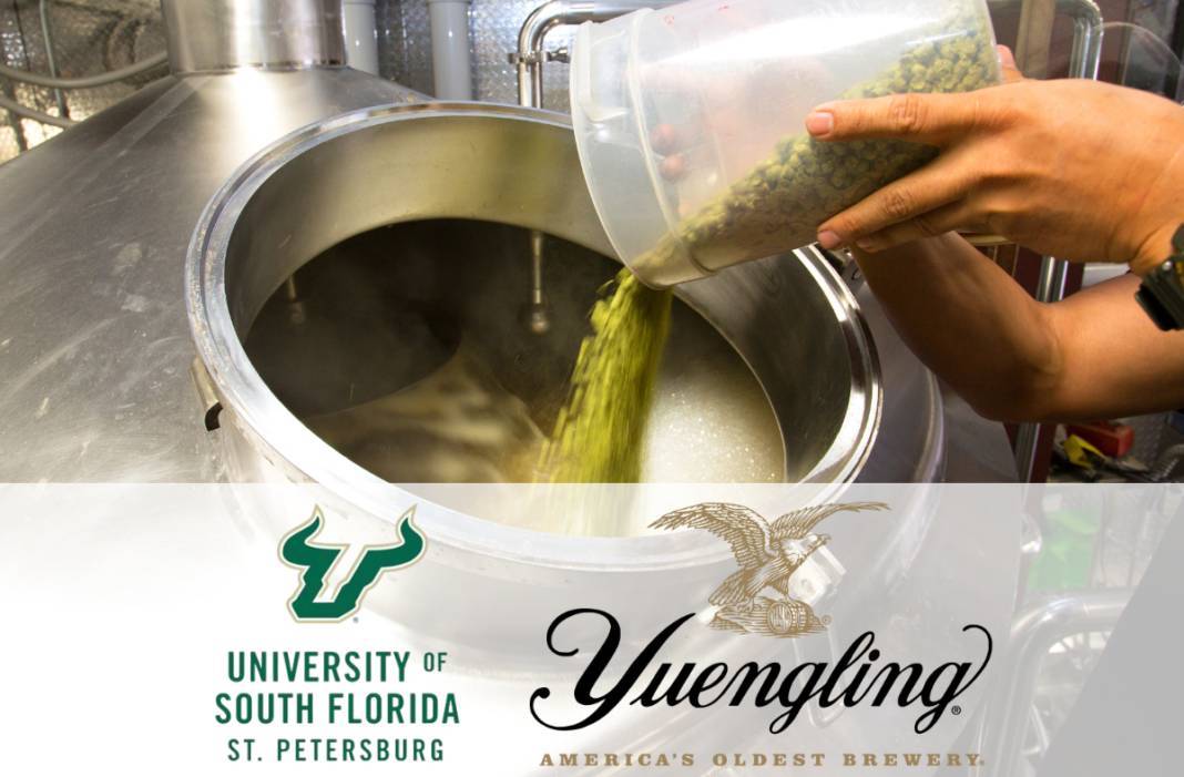 Yuengling and USF Continue Partnership Through Brewing Scholarships